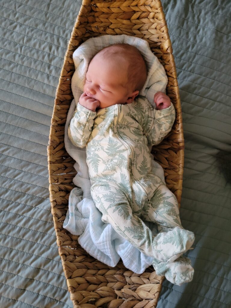 Laura Terry | Class Notes