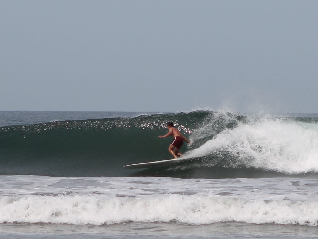 Class Notes | A service of Virginia Magazine, published by the UVA ...